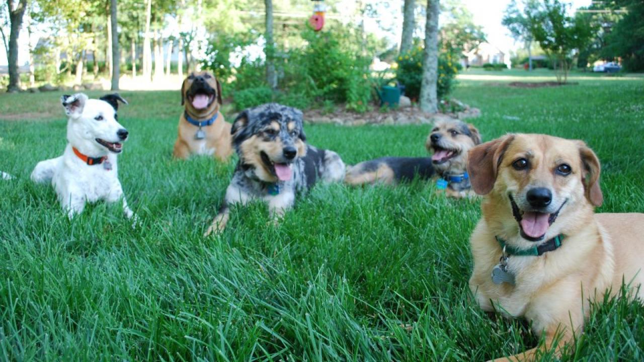 All Deals | Blue365 Deals